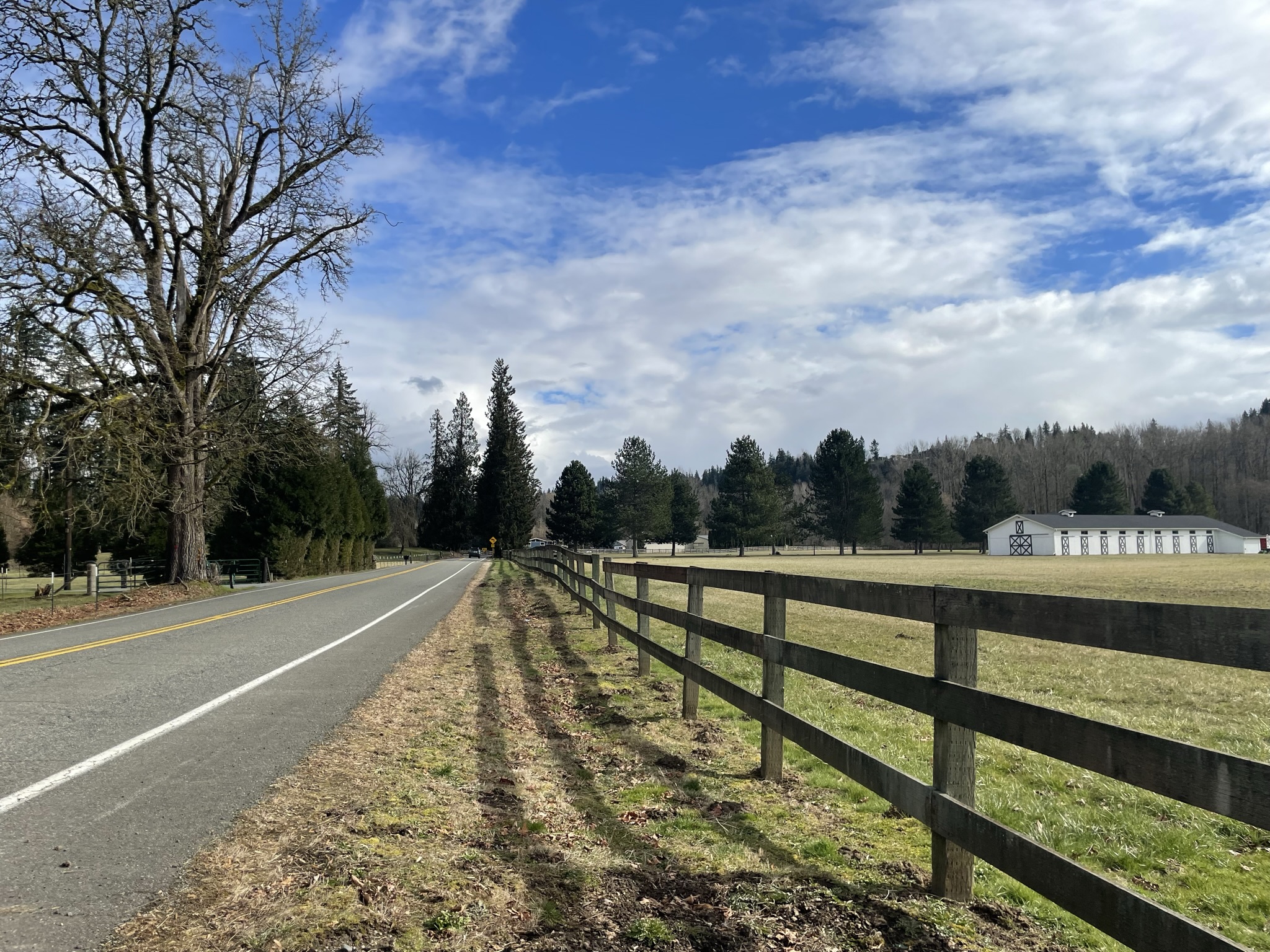 - Project/Layout/Default/PageTitleSuffix