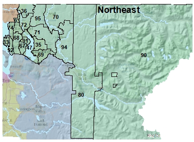 2021 Residential Northeast - King County, Washington