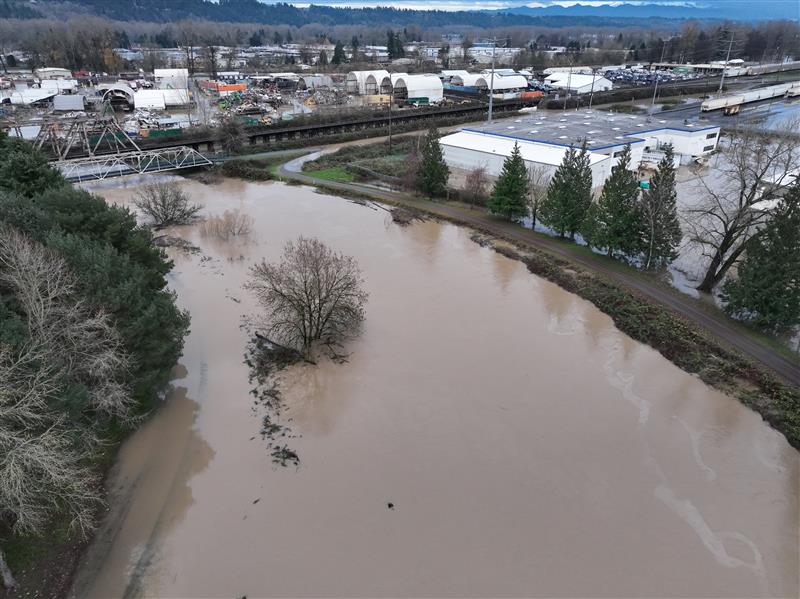 perfect disaster flood