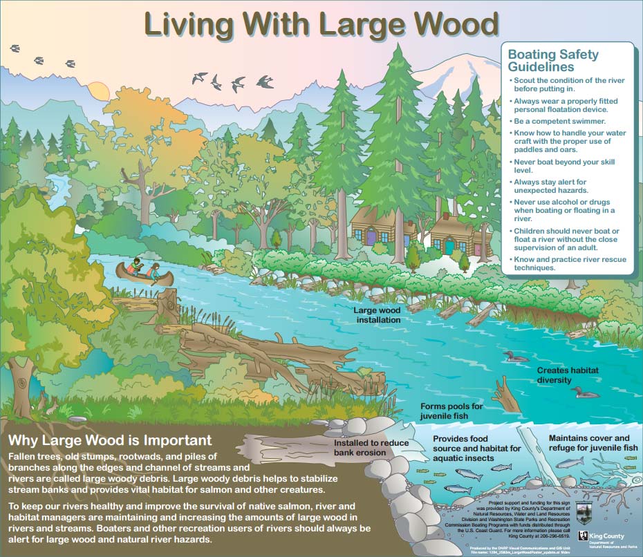 Large wood in King County rivers - King County, Washington