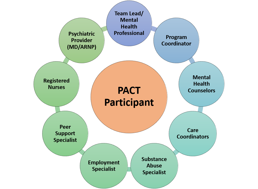 What Is Mental Capacity Assertive Community Treatment - vrogue.co What Is Mental Capacity Assertive Community Treatment - vrogue.co